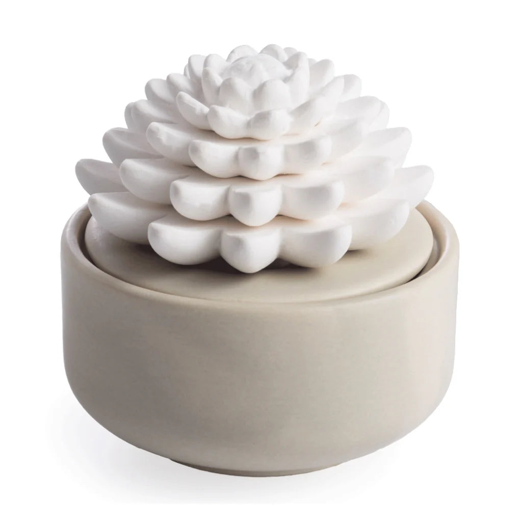 Airome Diffuser Succulent w/ 15 mL Peppermint Essential Oil – The ...